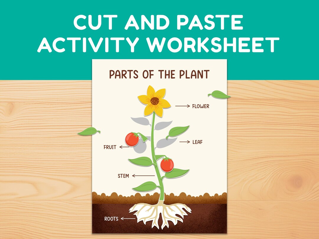 Parts of the Plant Worksheet Cut and Paste | Science Activity for Kids ...