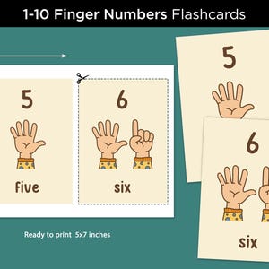 Finger Counting Number Flash Cards, Homeschool Printable (PDF) - Etsy