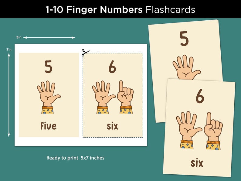 Finger Counting Number Flash Cards, Counting 1-10, Number Flash Cards ...