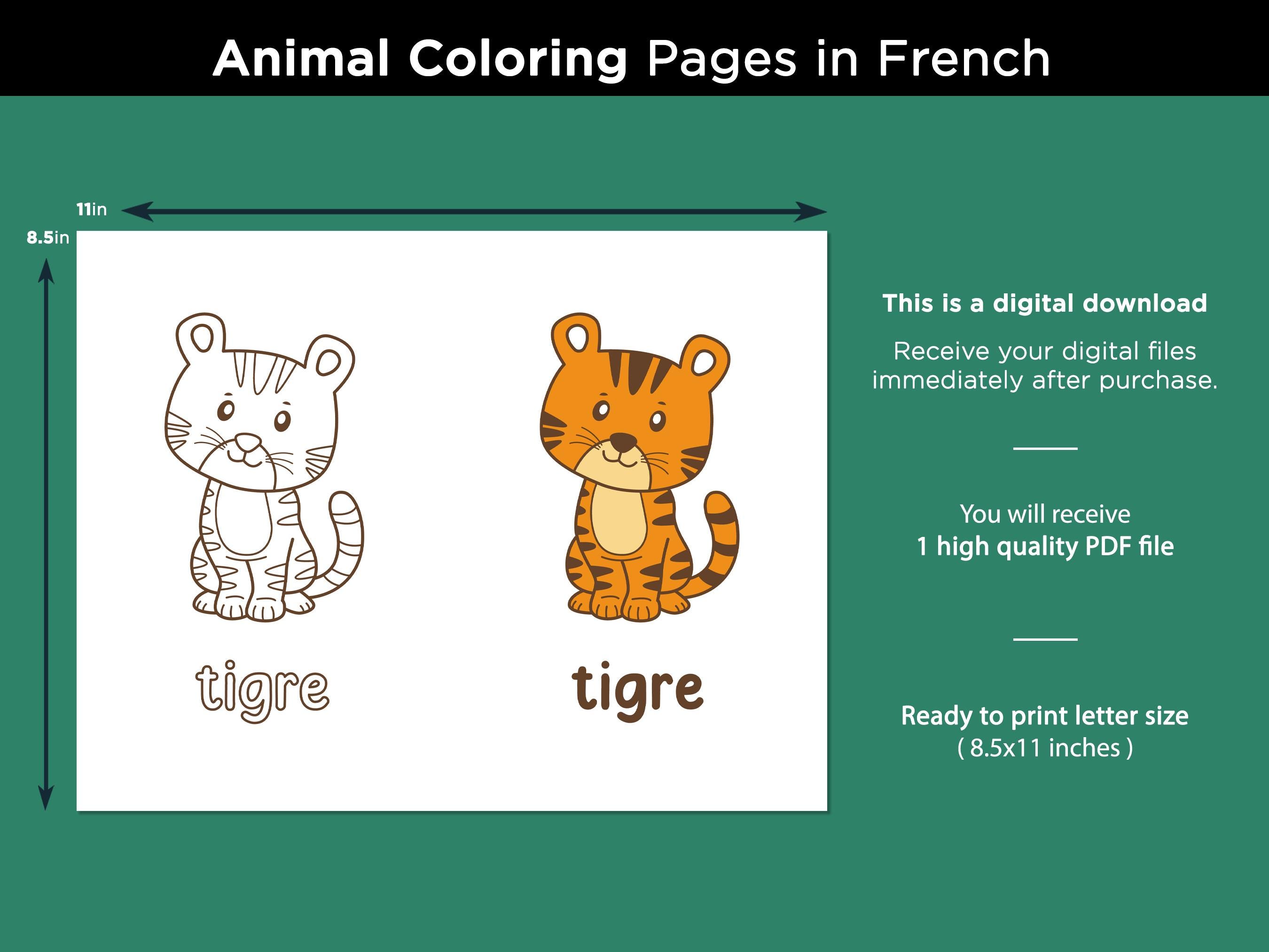 Animal Coloring in French, Coloring Worksheet for Kids, Animal ...