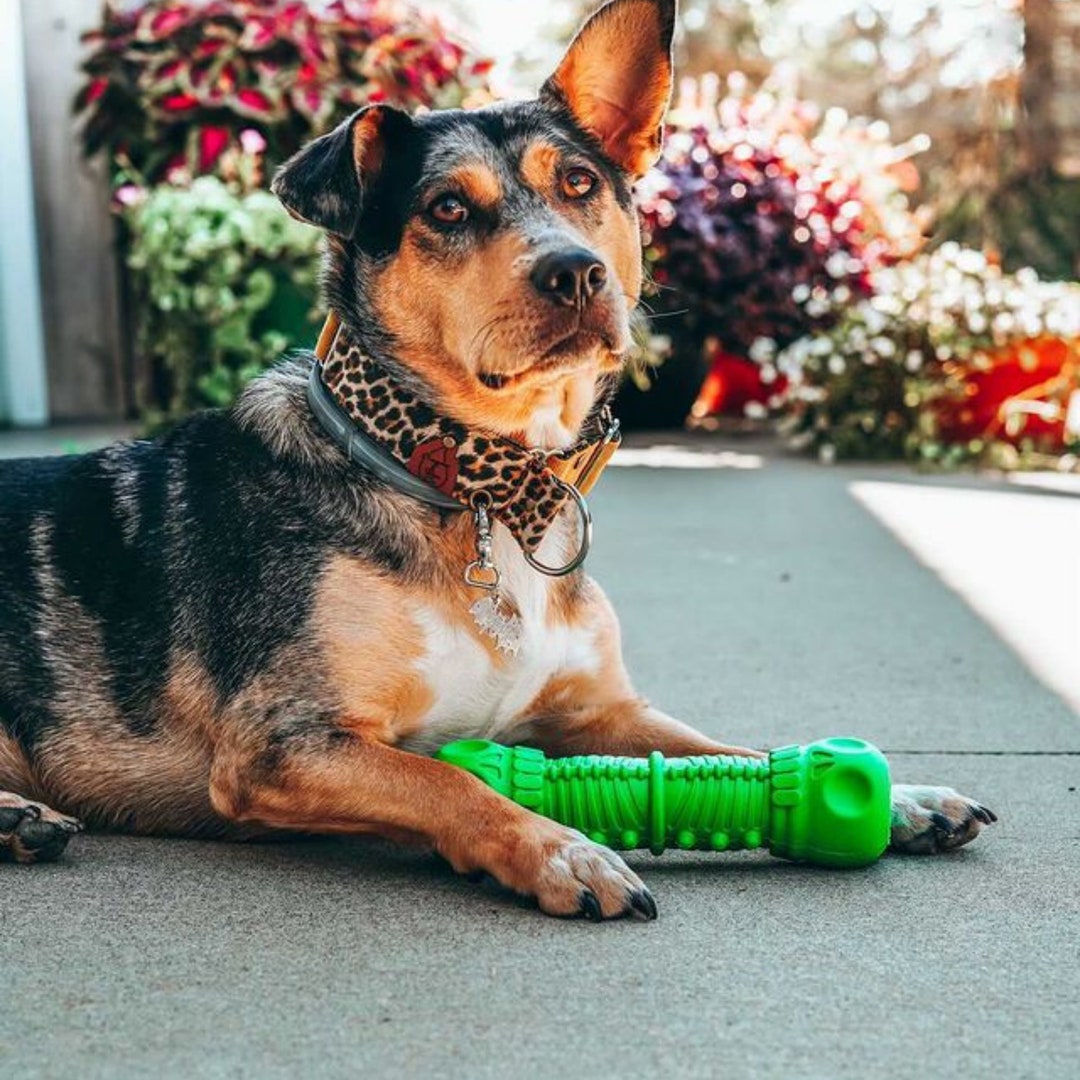 Dog Chew Toy for Aggressive Chewers Durable Natural Rubber Skull Bones ...