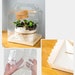 6" Transparent Cake Box With Handle - Etsy