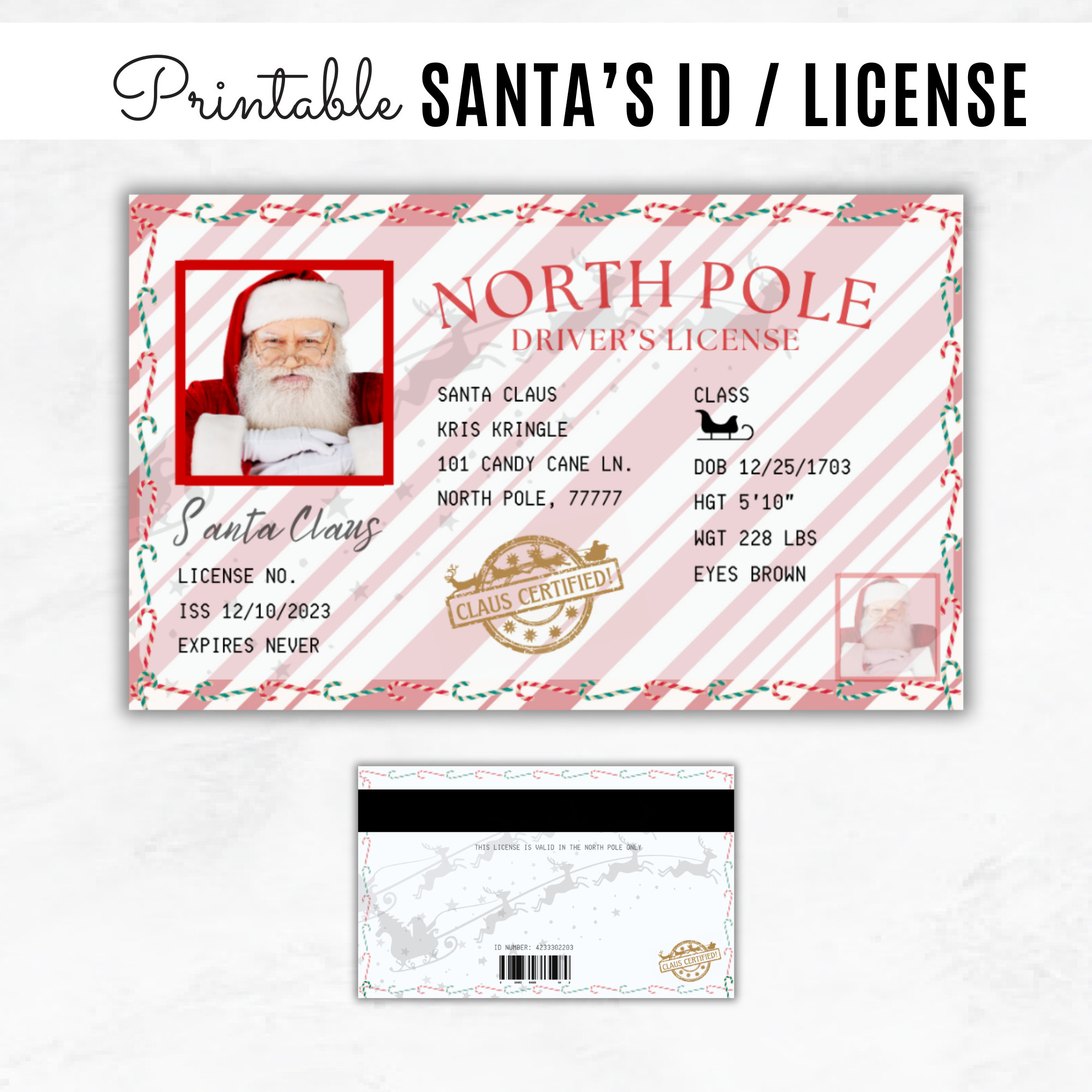 Printable Santa Driving Licence Template