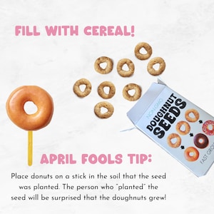 April Fools Day Prank | Doughnut Seeds | April Fools Day Joke Idea ...