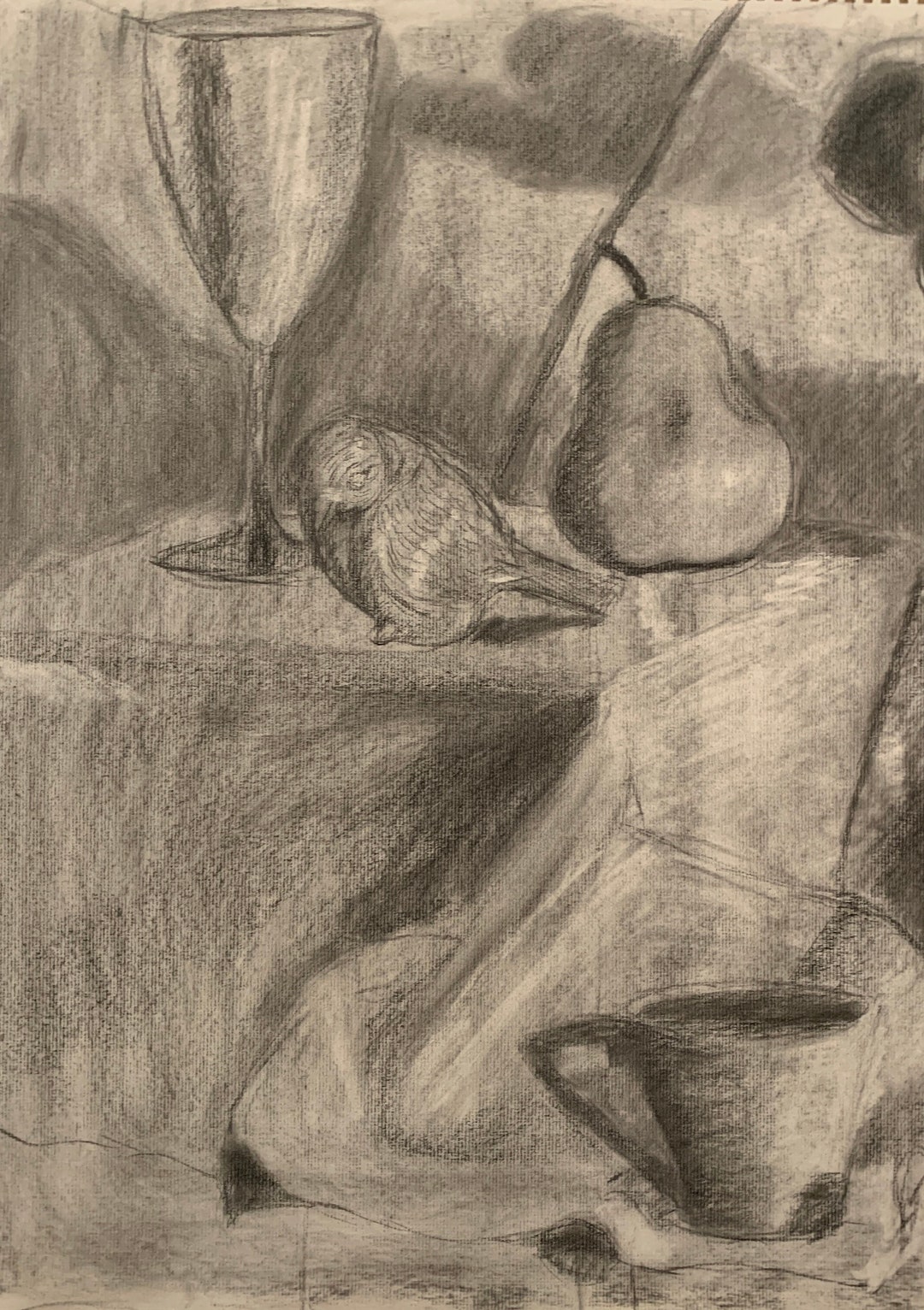Original Still Life Charcoal Drawing - Etsy