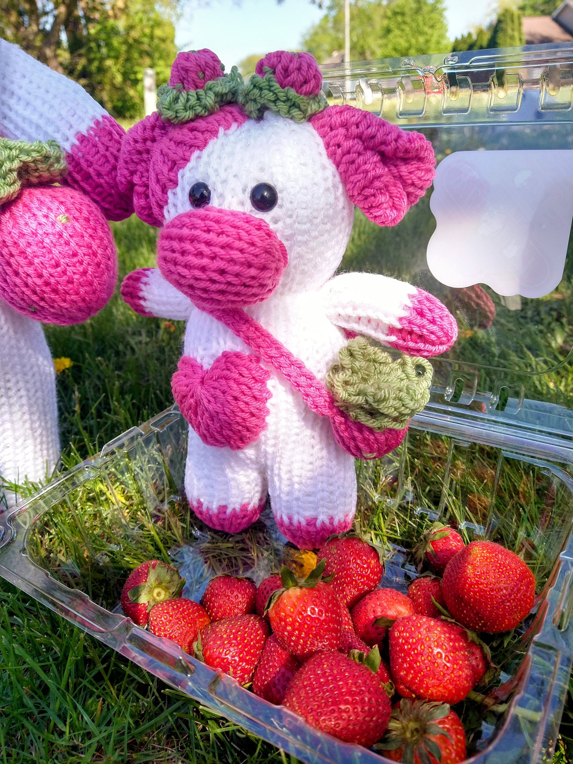 Small Strawberry Cow Circular Knitting Machine Pattern Bundle, Addi ...