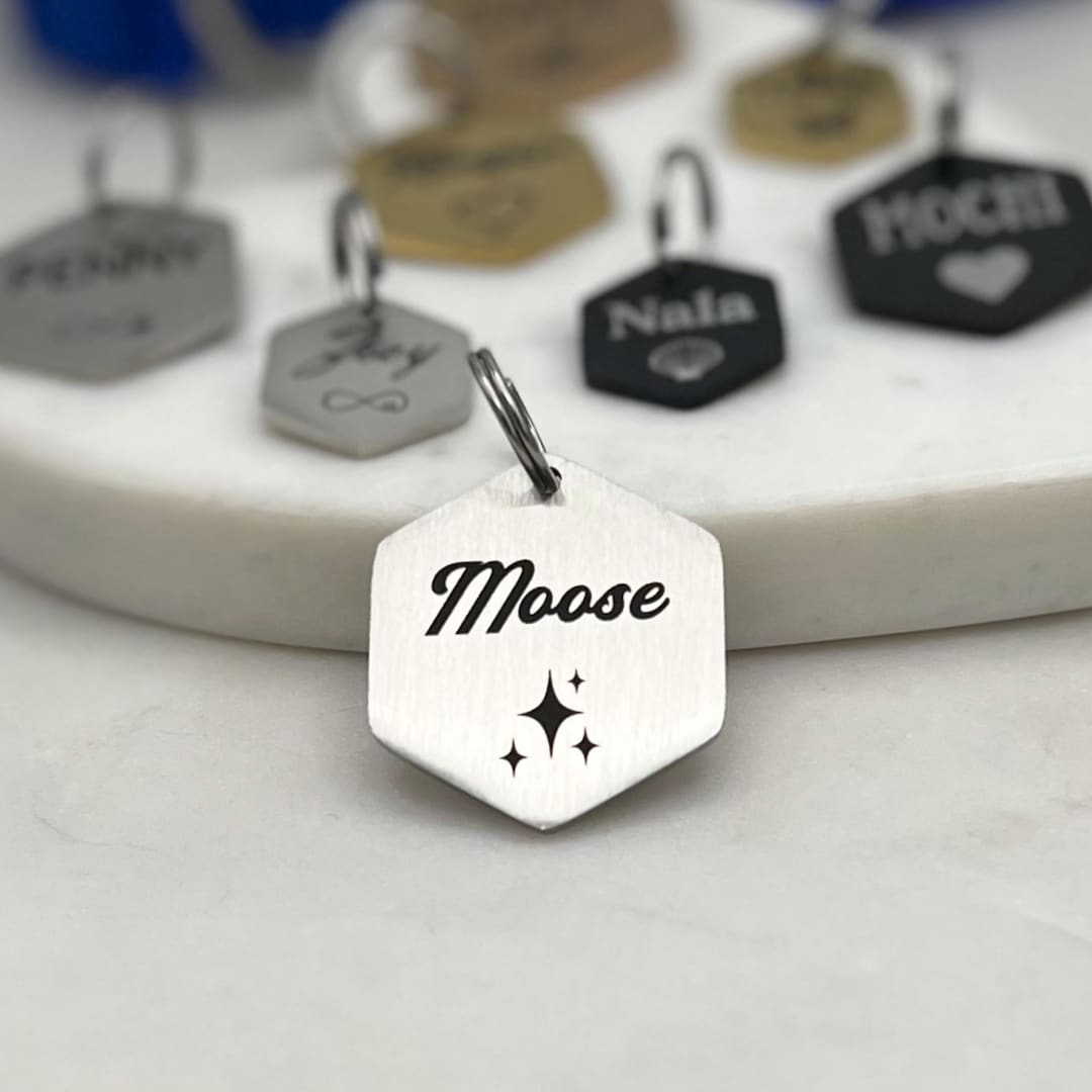 Hexagon Dog Tag • Silver Stainless Steel Dog Tag • Name and Symbol ...