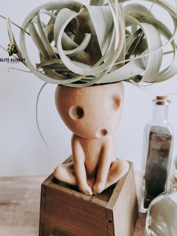 Kodama Planter Kodama Air Plant Holder Kodama Air Plant | Etsy