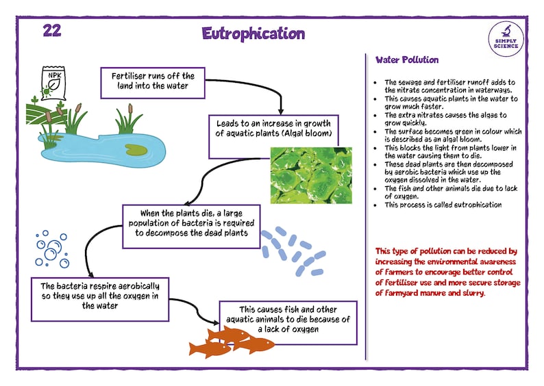 CCEA GCSE Double Award Science Unit 1 Biology Revision Deck - Etsy UK