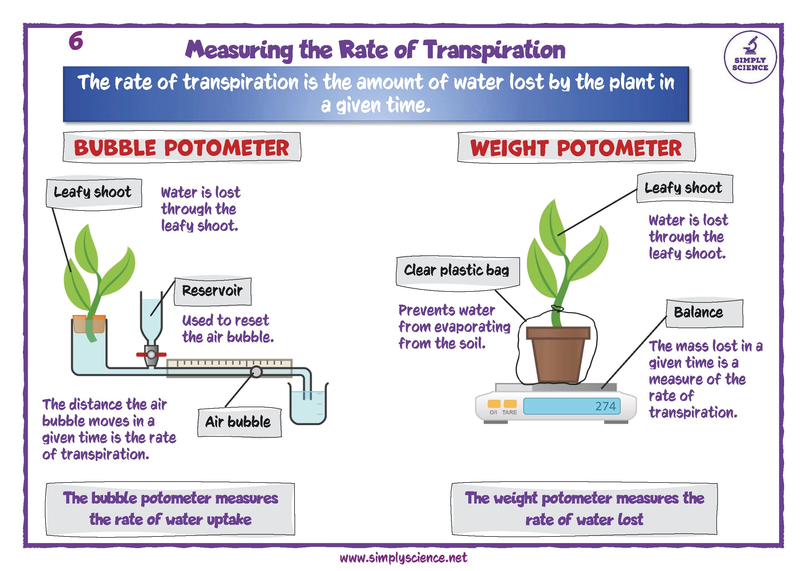 CCEA GCSE Double Award Science Unit 2 Biology Revision Deck - Etsy UK