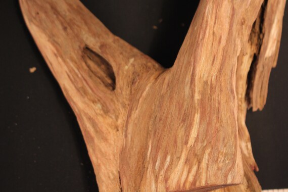 Home Improvement Home & Living Wood Cedar Root Heart wood etna.com.pe