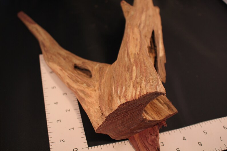 Home Improvement Home & Living Wood Cedar Root Heart wood etna.com.pe