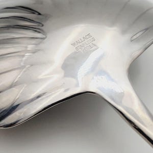 Wallace COUNTRY SHELL Stainless Flatware Glossy Fiddle Large Shell ...