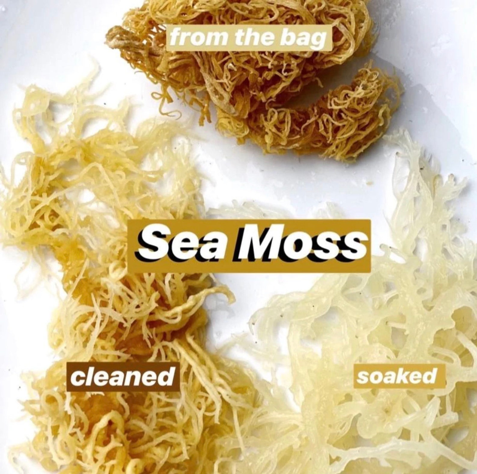 Dried Organic Irish Sea Moss - Etsy