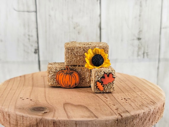 Mini Hay Bale Fall Tier Tray Hay Bale Mini Fall Decor Mini - Etsy