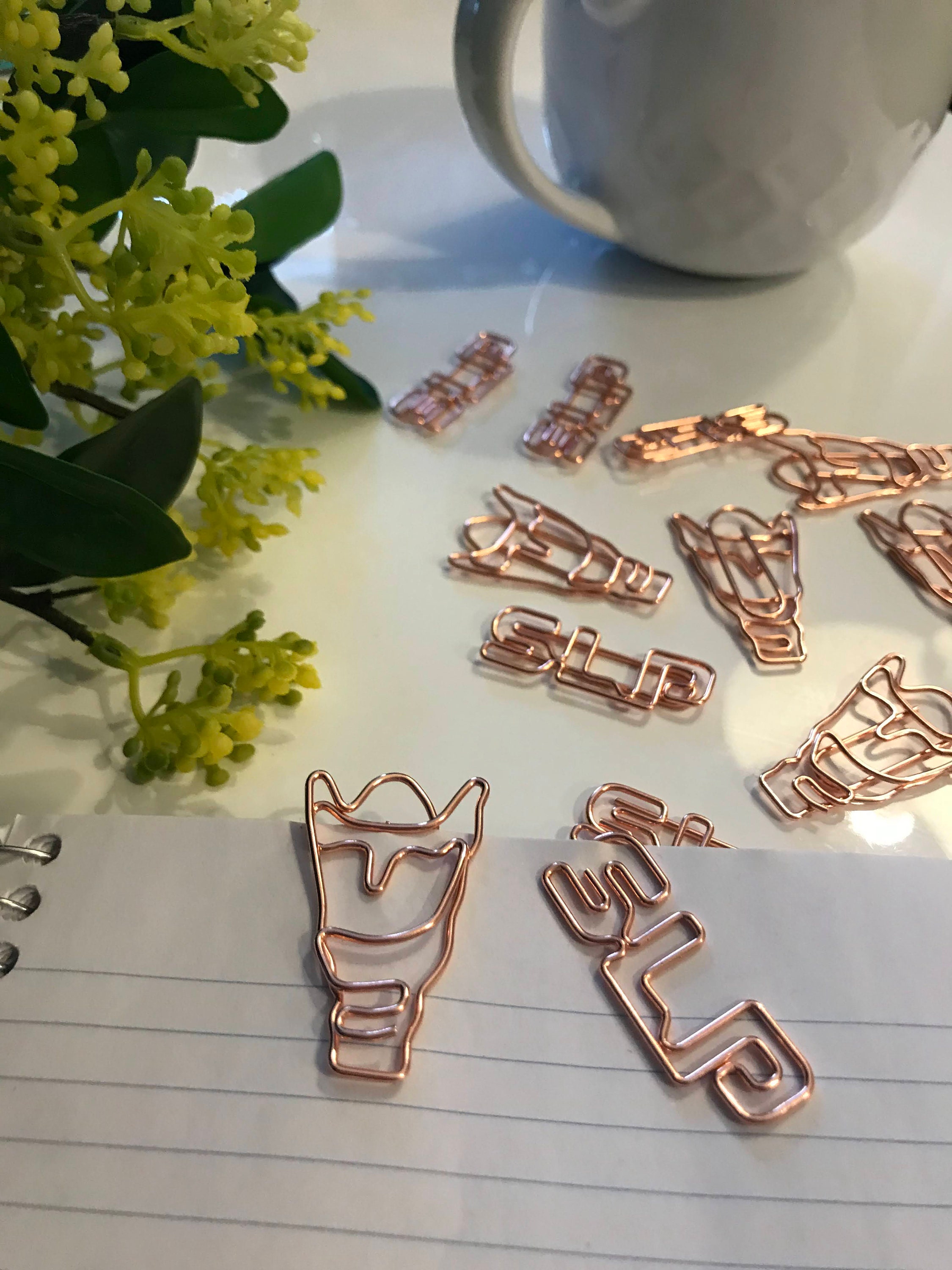 SLP Paper Clips Anatomy Paper Clips Functional Clips, Paper Clips, Desk ...