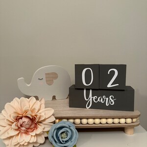 Gender Neutral Baby Milestone Blocks - Etsy