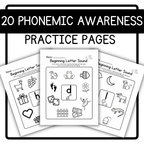 Initial Consonant Activity Bundle, Phonemic Awareness, Preschool ...