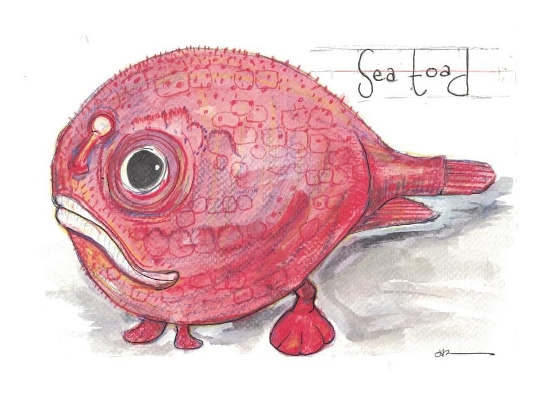 Sea Toad High Quality Giclée Art Print | Sea Toad Art Print | 8.3 X 5.8 ...