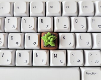 Succulent Keycap - Etsy