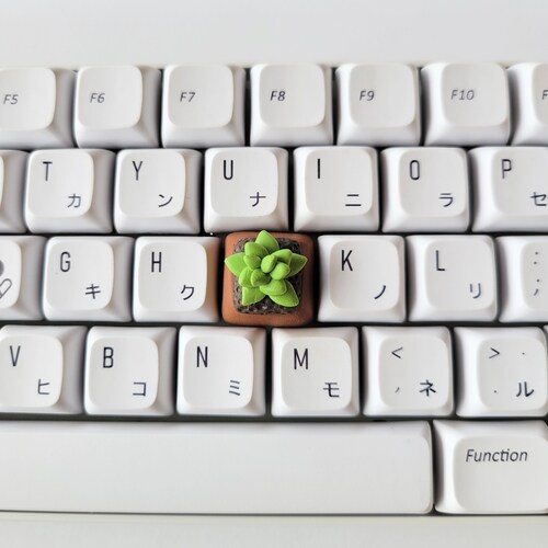 Succulent Keycap Plant Keycap Artisan Keycap - Etsy