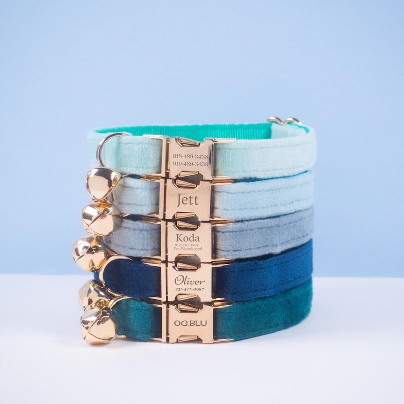 Dark Blue Velvet Cat Collar - Etsy