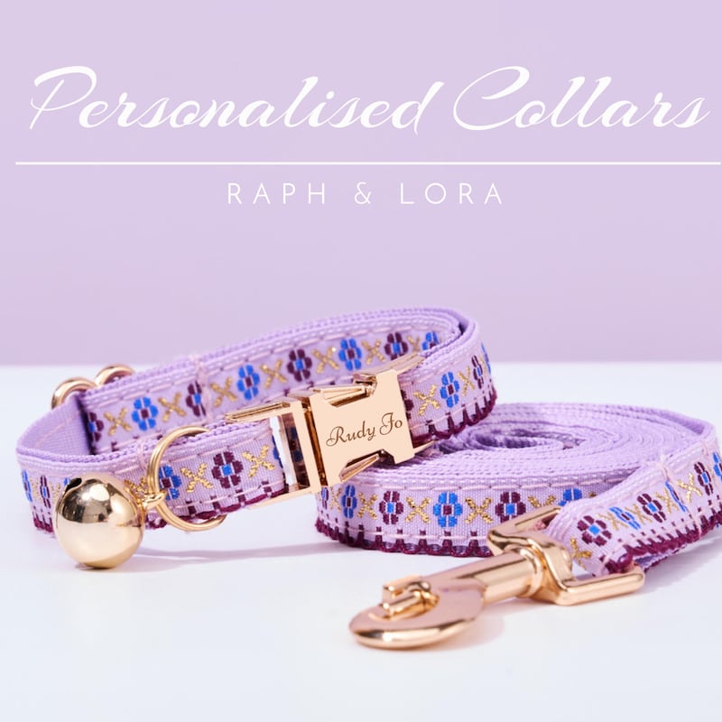 1/2 Studded Dog Collar - Etsy UK