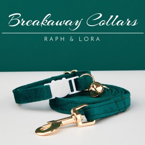 Cat Harness With Breakaway Personalized Cat Collarquick - Etsy