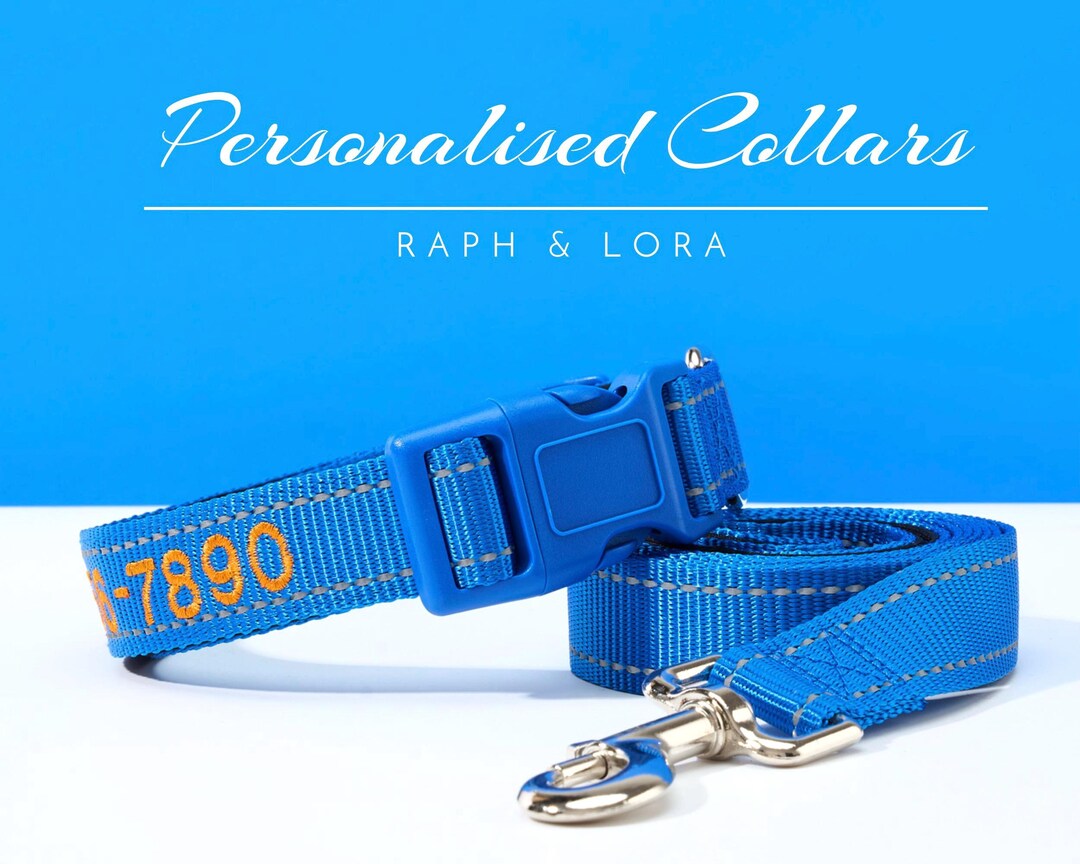 Embroidered Blue Dog Collar Leash Gift for Pet Lover,customized Dog ...