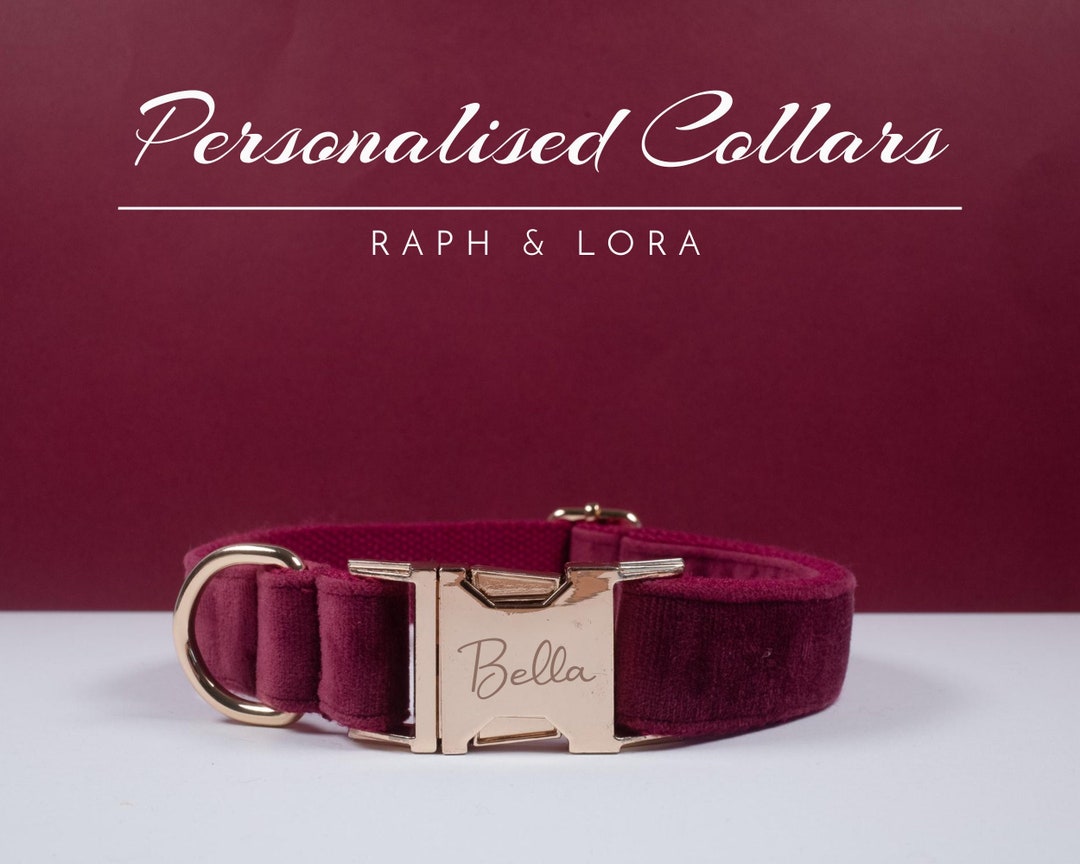 Burgundy Velvet Dog Collar Leash, Thick Velvet Dog Collar for Wedding ...
