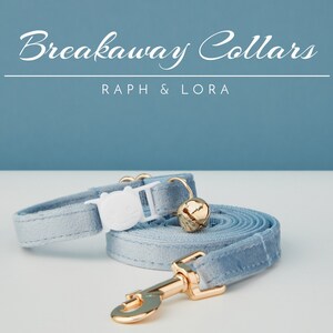 Cat Harness With Breakaway Personalized Cat Collar,quick Release Cat ...