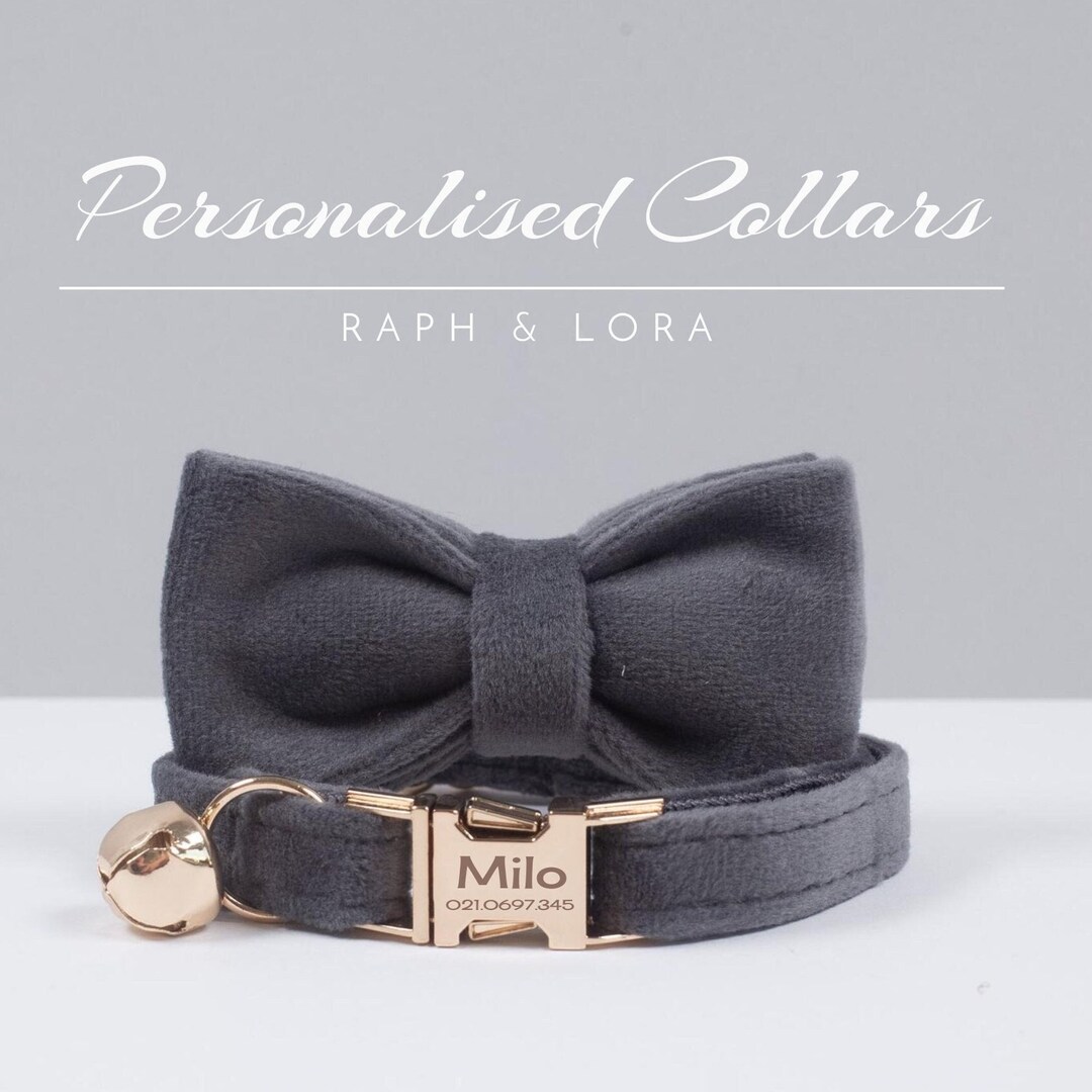 Fancy Dark Gray Velvet Cat Collar With Bow for Male Pets, Velvet Kitten ...