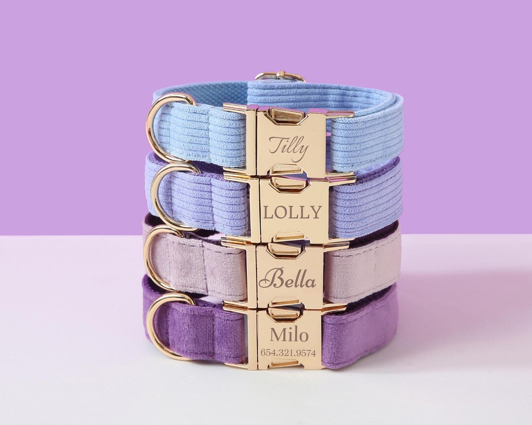 Designer Dog Collar With Name Engraved, Personalized Puppy Collar ...