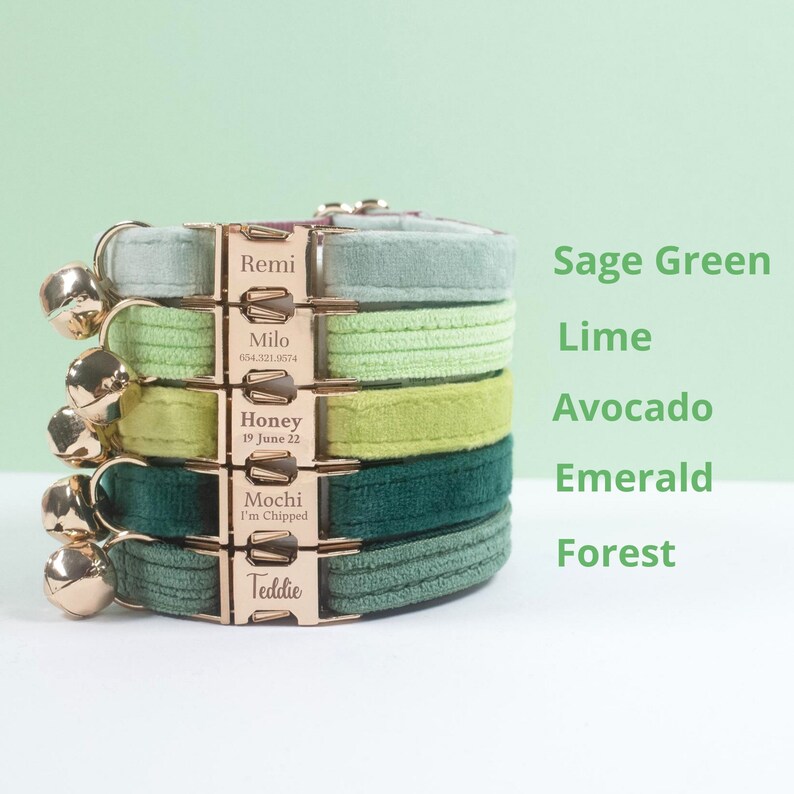 Green Custom Cat Collar With Bow&bell Personalised Kitten - Etsy
