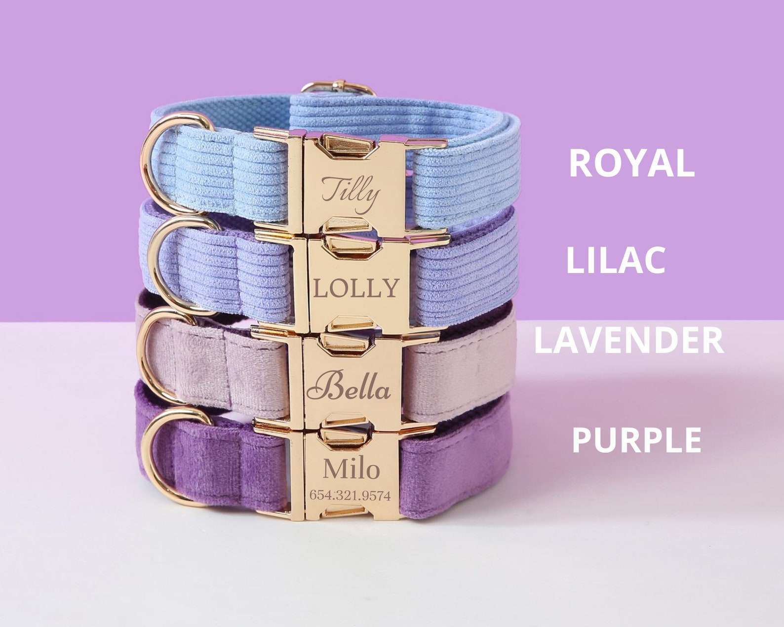 Designer Dog Collar With Name Engraved Personalized Puppy - Etsy