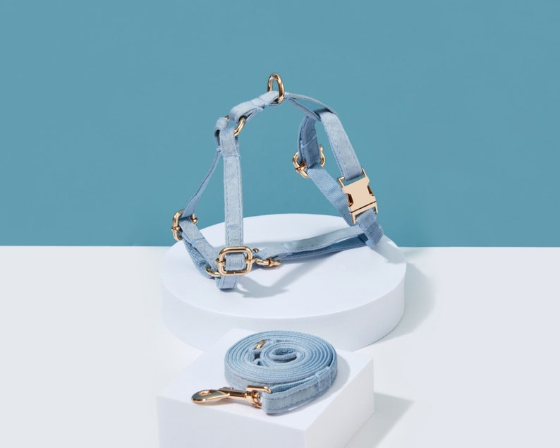 Cat Harness With Breakaway Personalized Cat Collarquick - Etsy