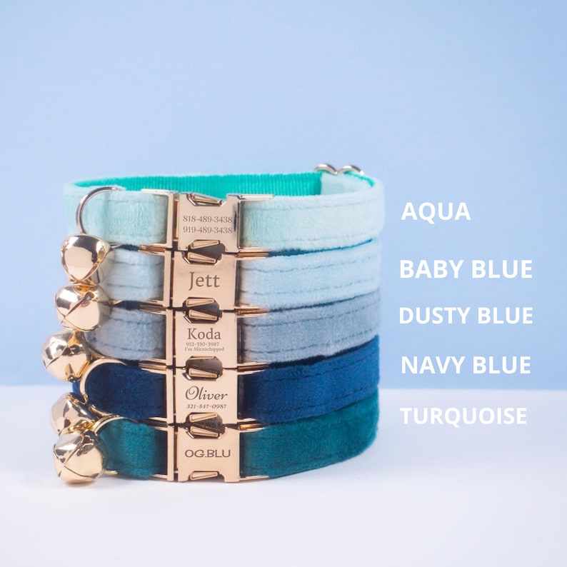 Custome Blue Velvet Kitten Collar Bow Luxury Cat Collar With - Etsy