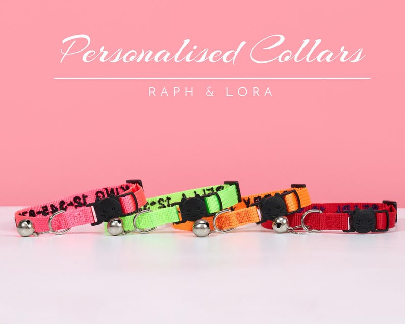 Embroidered Cat Collar With Name,custom Breakaway Kitty Collar Bell ...