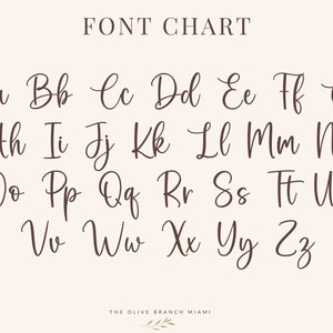 My First Year Photo Display, Bow Theme First Birthday, Coquette First ...