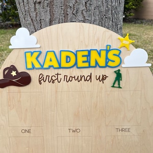 One Year of First Birthday Photo Board, First Round up Toy Theme First ...