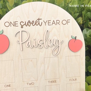 One Sweet Year Photo Board, One Sweet Peach Birthday Decor, Baby's ...