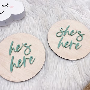 He's Here She's Here Sign, Its a Boy Its a Girl Sign, Gender Reveal ...