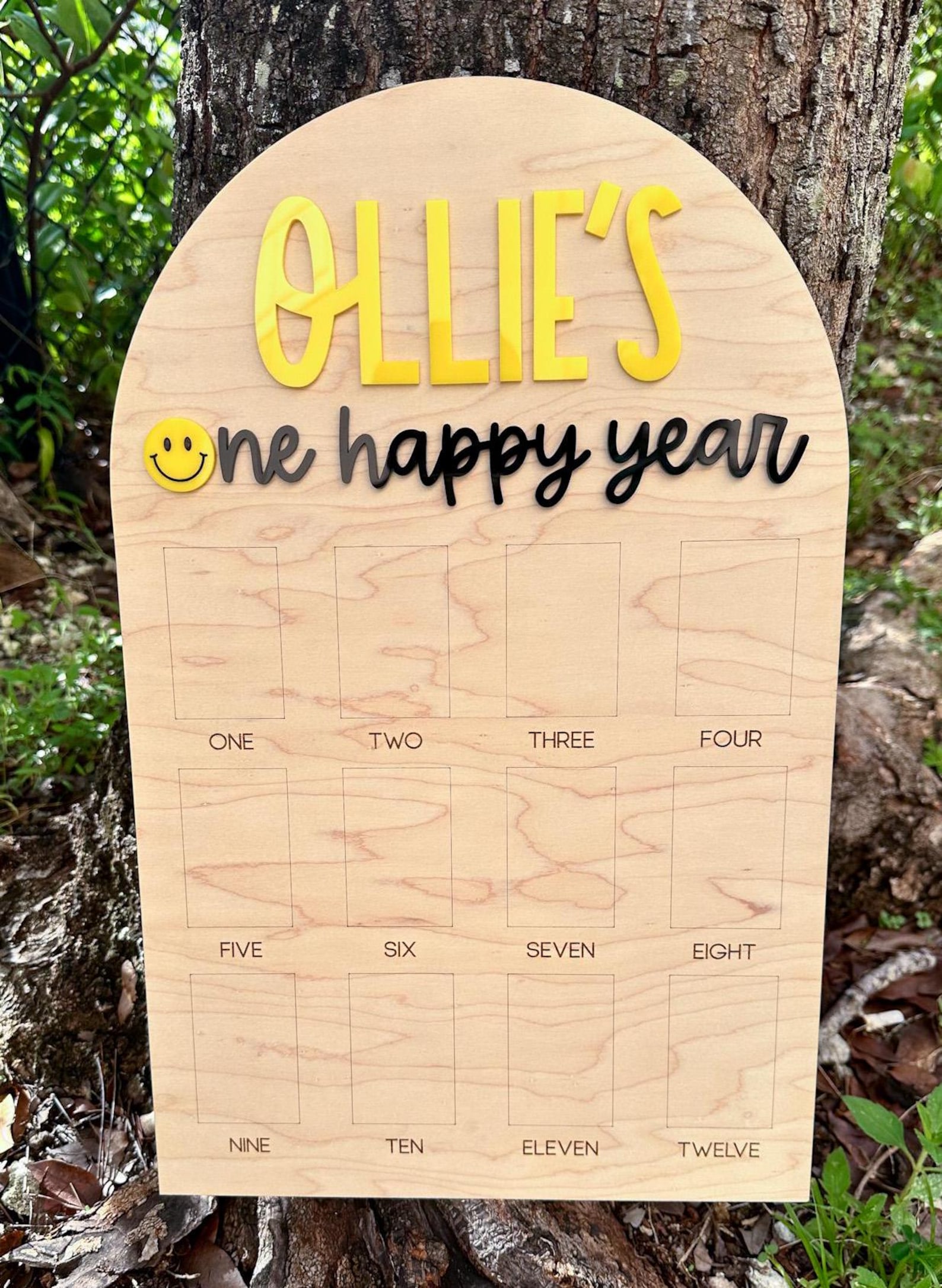 One Year Photo Board, One Happy Dude Birthday Party Decor, One Happy ...