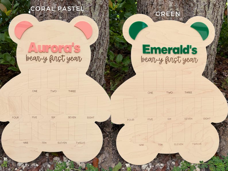 Beary First Birthday One Year of Photo Board, Beary First Year Board ...