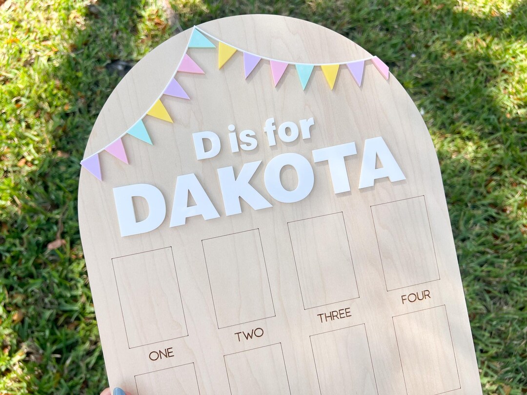 My First Year Board, One Year of Photo Board, First Birthday Sign ...