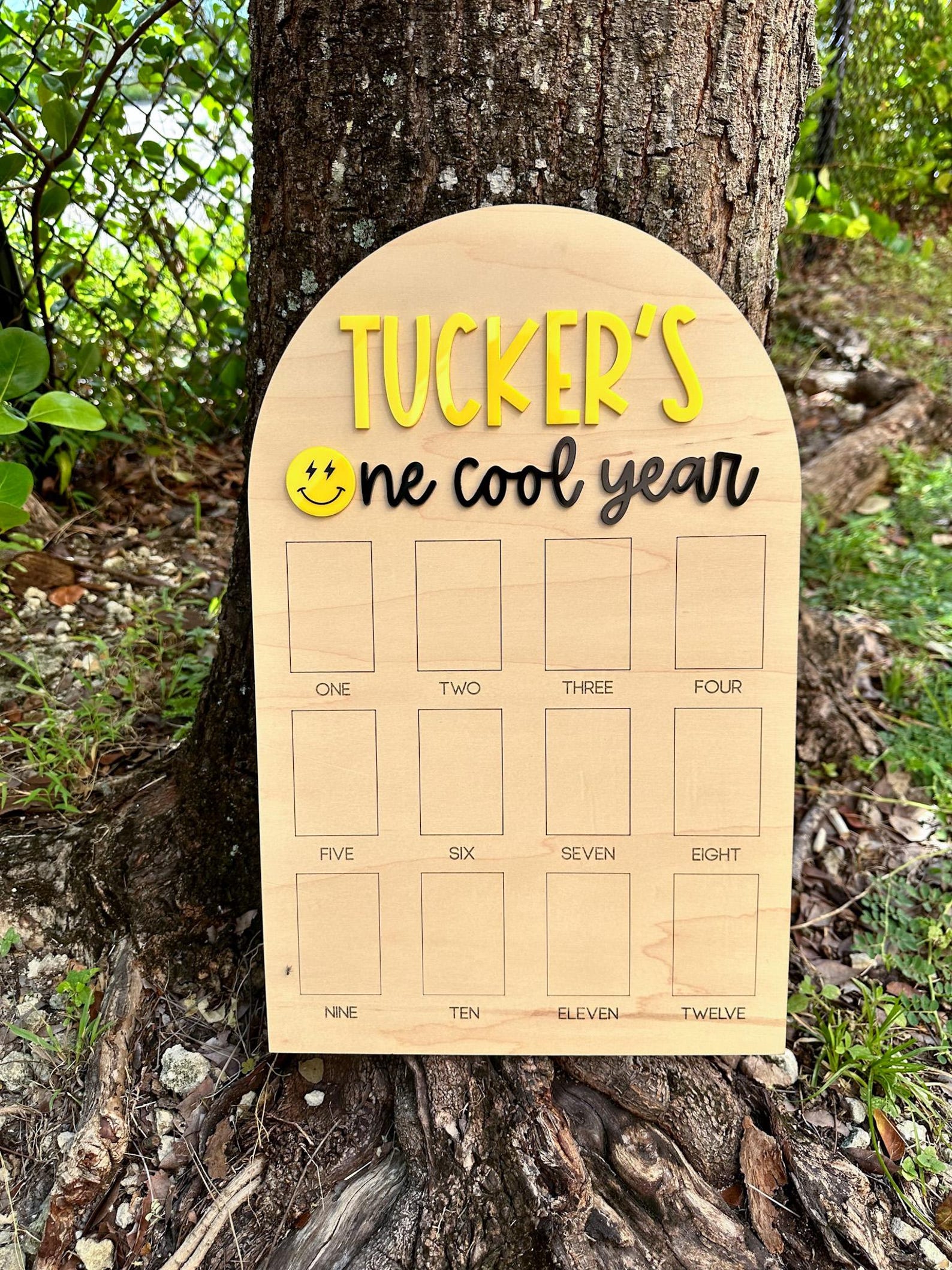 One Year Photo Board, One Happy Dude Birthday Party Decor, One Happy ...