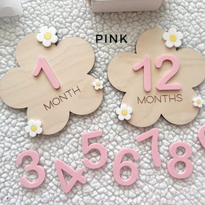 Baby Monthly Daisy Milestone Marker, Interchangeable Flower Monthly ...