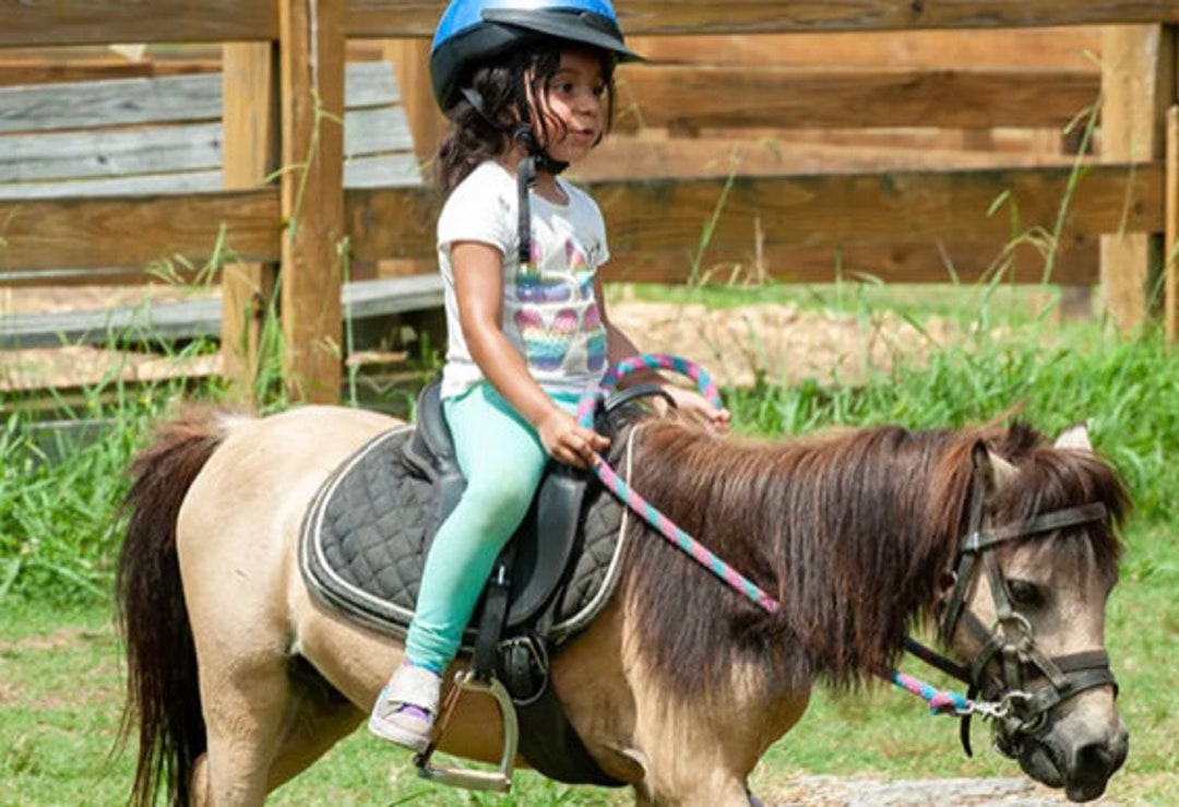 Easy Filler Activities for Horsey Summer Camp - Etsy