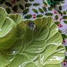 Sylvan Pottery Leaf Shaped Mismatched Appetizer Trays - 1950’s ...