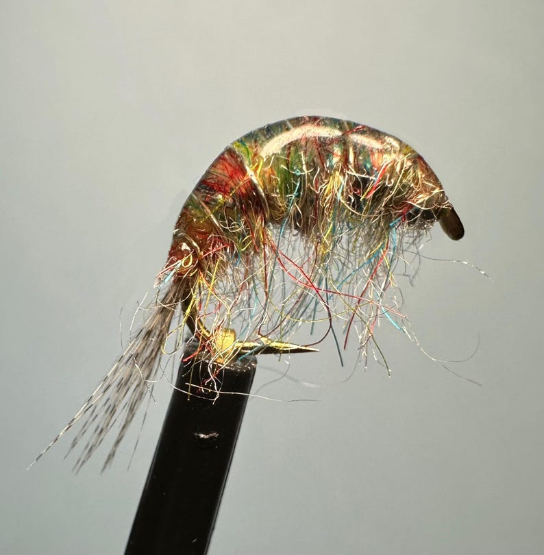 Scud - Tungsten Weighted (fly Fishing / Ice Fishing) - Etsy